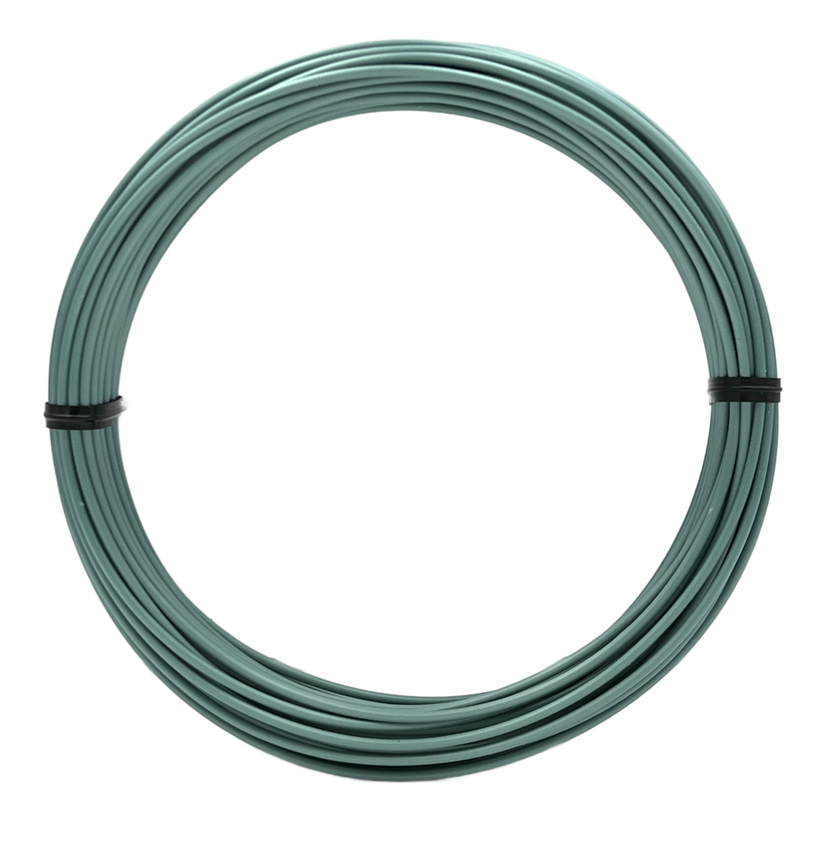 Atomic Filament Sample Coil PLA - Chameleon Coastline Shade Shifting ...